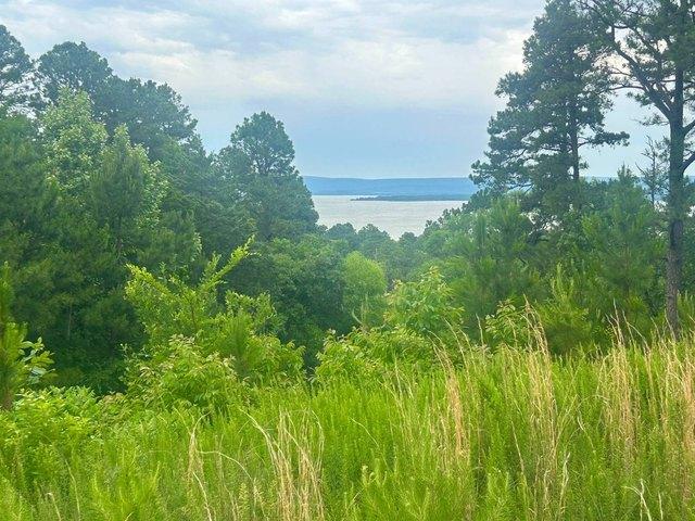Tract 7 Rocky Mountain Estates Rd Lot TRACT7, Clayton, OK 74536