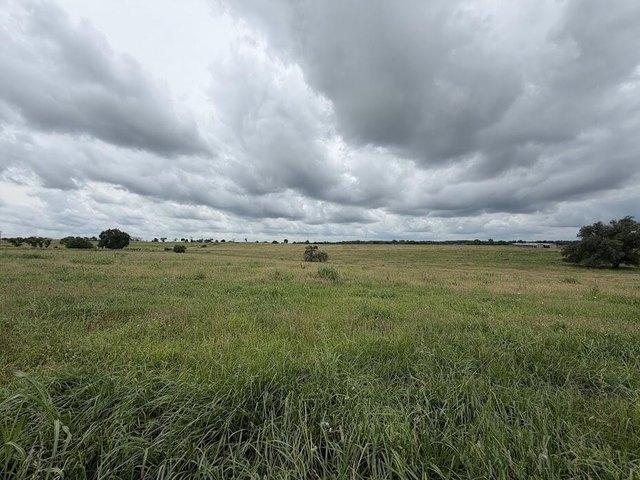 Tract 7 State Highway T, Bolivar, MO 65613