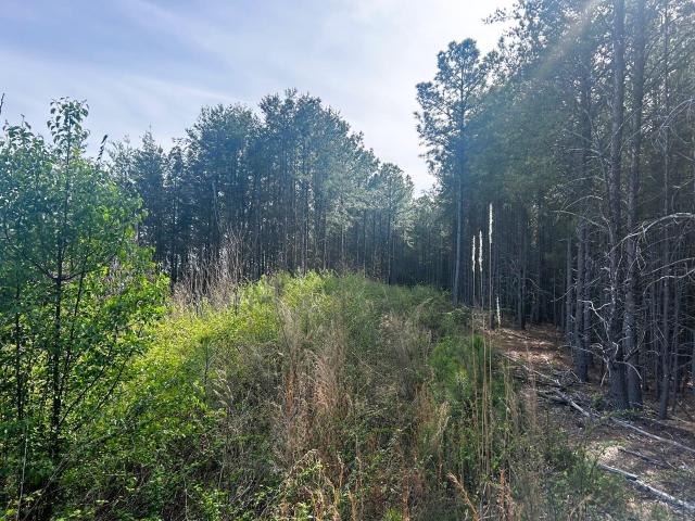 Tract 7 SW Owl Hollow Road