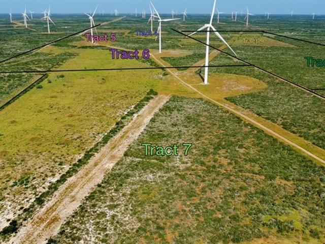 Tract 7 San Pablo Rd, Bruni, TX 78344
