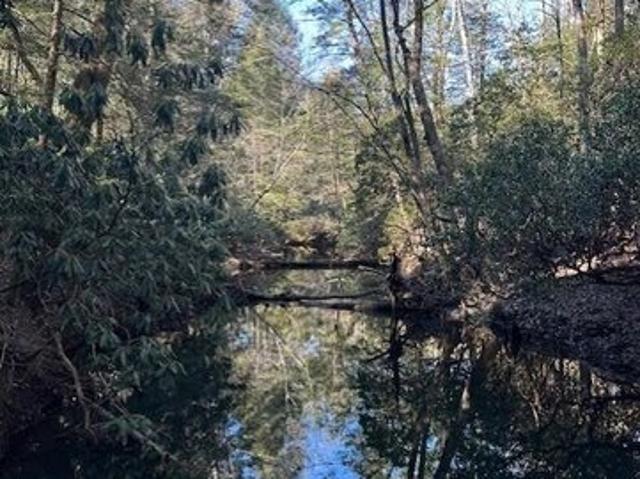 Tract 7 50th Ave Lot TRACT7, Gruetli Laager, TN 37339