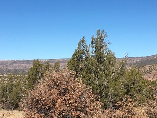 Tract 7B Moondance Ranch