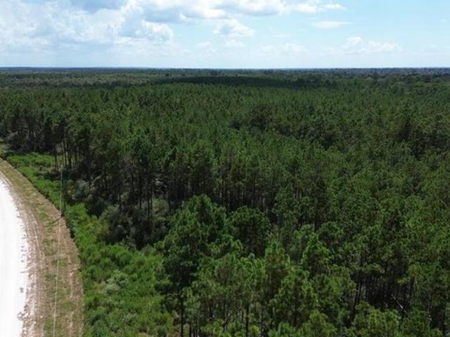 Tract 8160 Pr # 18, Lovelady, TX 75851