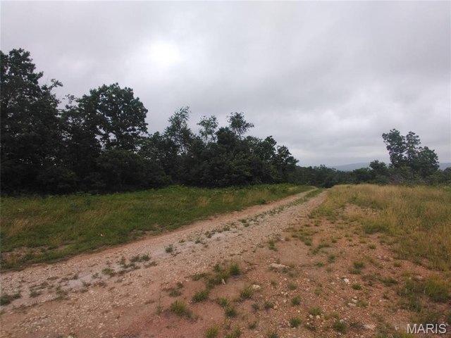 Tract 8 off Highway O, Belleview, MO 63623