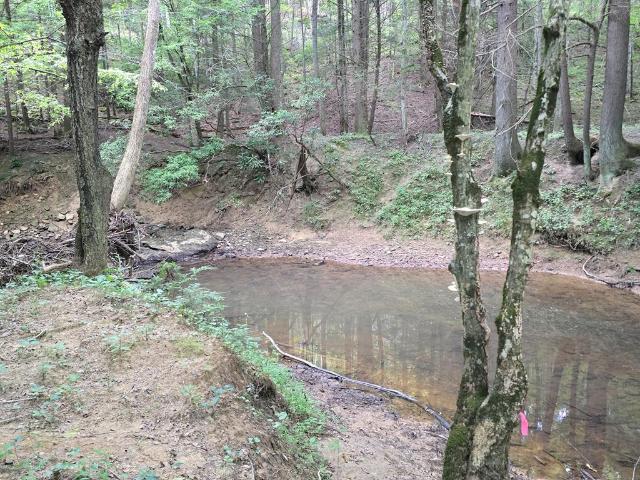 Tract 8 Boone Lane