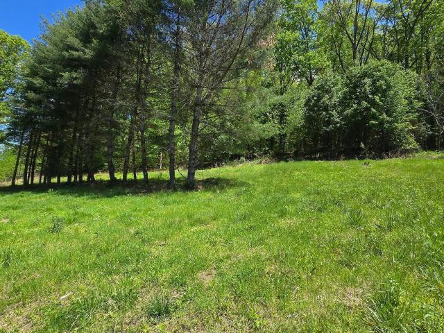 Tract 8 Dooley Hollow Rd, Ewing, VA 24248