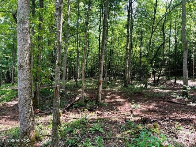 Tract 8 Pleasant Hill Rd