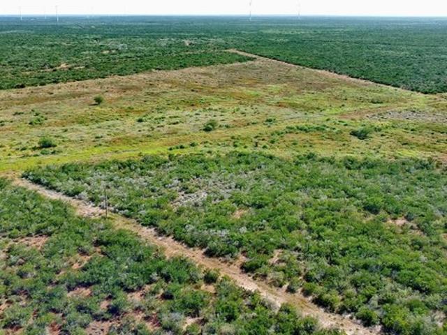 Tract 8 San Pablo Rd, Bruni, TX 78344
