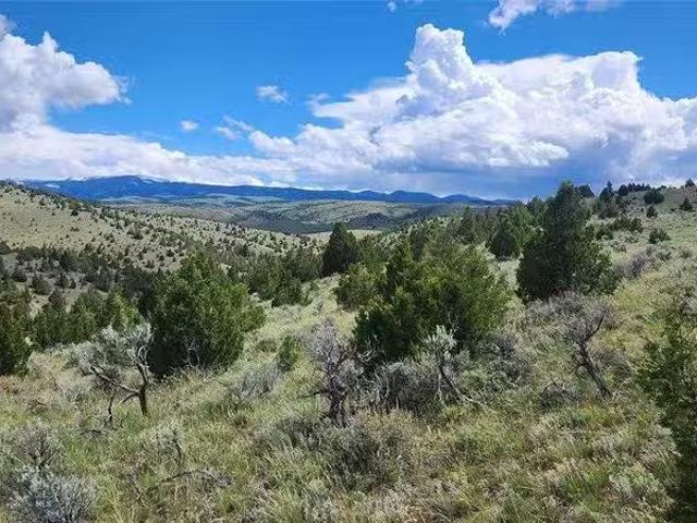Tract 8a Lower Water Gulch, Virginia City, MT 59755 649061329