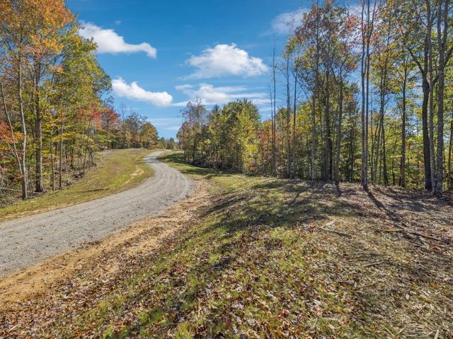Tract 9 Off of Sheep Ranch Road