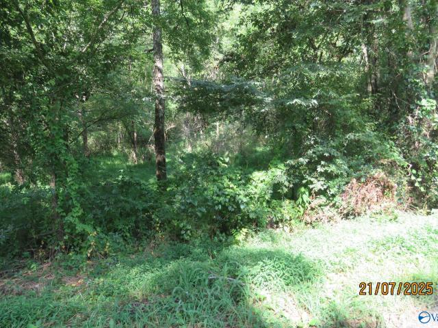 Tract 9 Brown Road