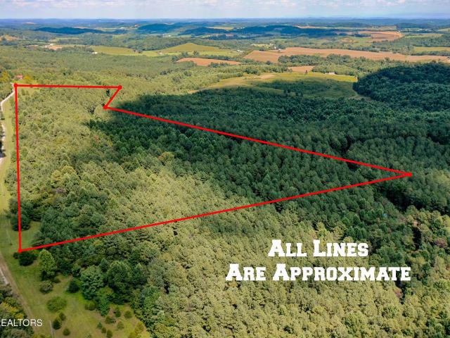 Tract 9 Flatwoods Rd