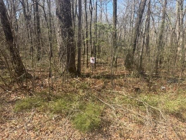 Tract 9 Highway 22A, Jacks Creek, TN 38347