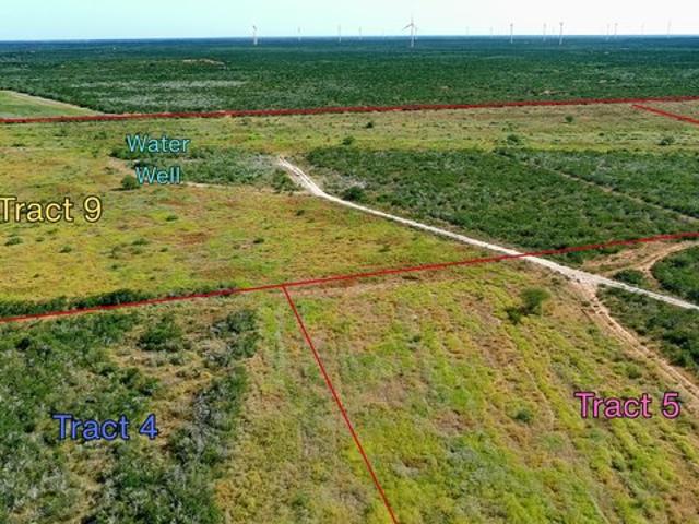 Tract 9 San Pablo Rd, Bruni, TX 78344