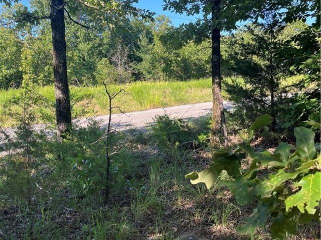 Tract 9A SE 1083rd Avenue