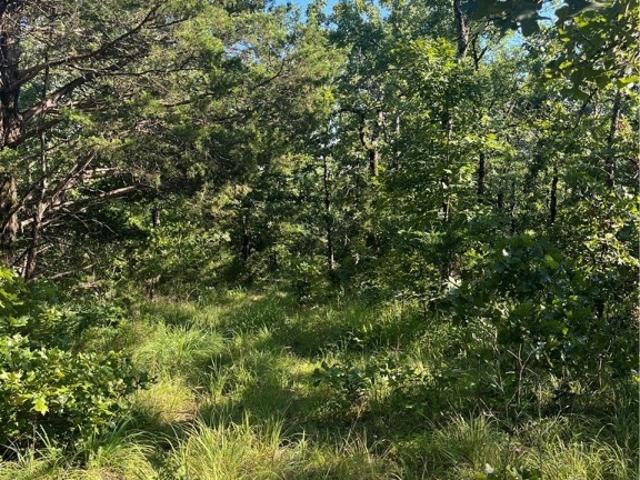 Tract 9B SE 1083rd Avenue