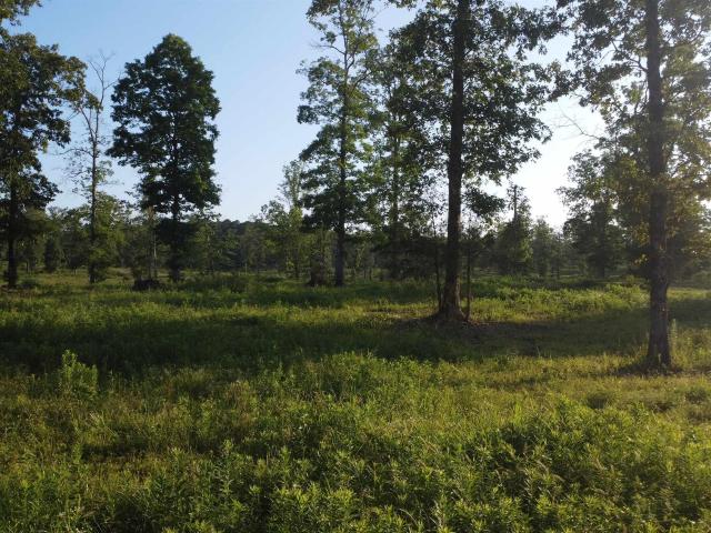 Tract 08 TBD Whittington Homestead