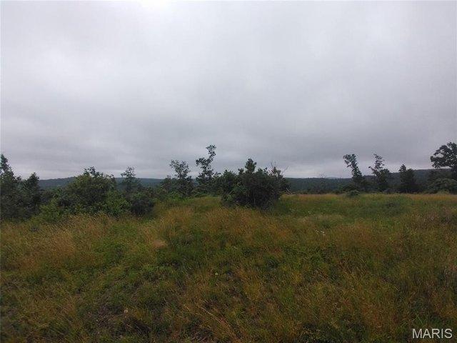 Tract 10 off Highway O, Belleview, MO 63623