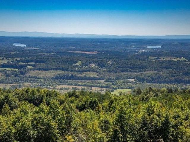Tract 11 Wash Pelfrey Rd, Evensville, TN 37332