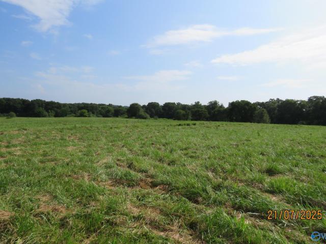 Tract 11 Brown Road