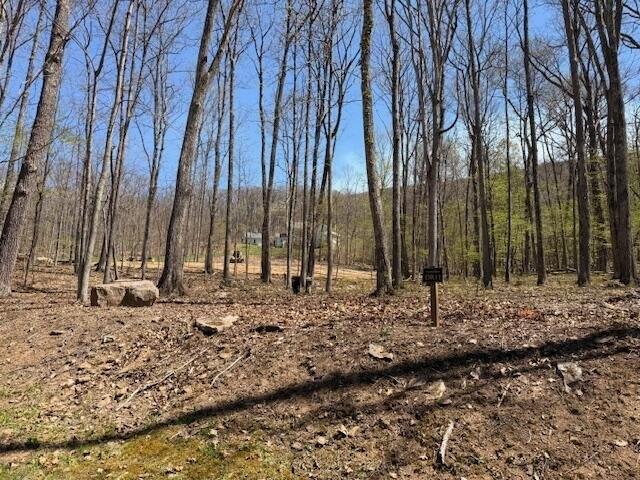 Tract 11 Delafield Rd Lot 11, Hot Springs, VA 24445