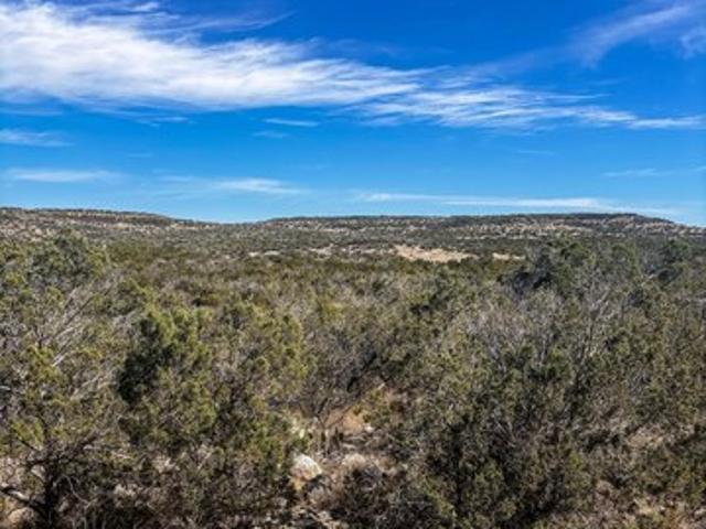 Tract 11 Eastwood Rd, Comstock, TX 78837