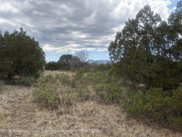 Tract 11 Rio Hondo Lots 22,23,24, Alto, NM 88312