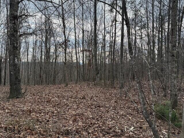 Tract 11 South Pittsburg Mountain Road