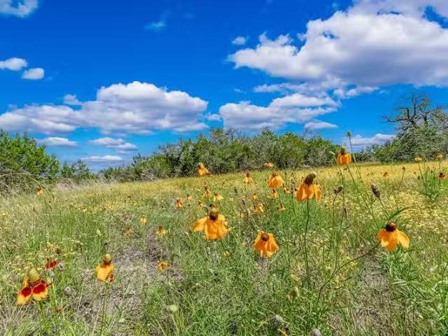 Tract 121 Other, Rocksprings, TX 78880 MLS 91326
