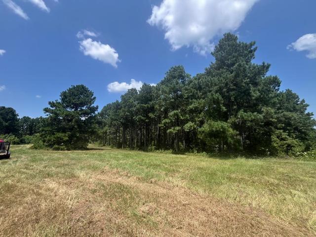 Tract 129/130 Fenley Flat Road