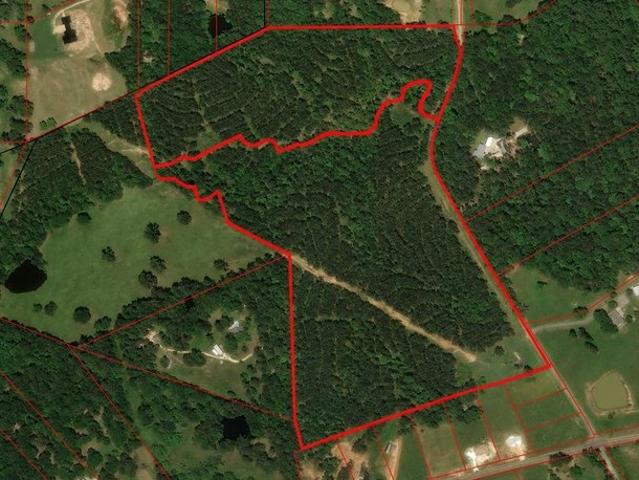 Tract 129/130 Fenley Flat Rd, Pollok, TX 75969