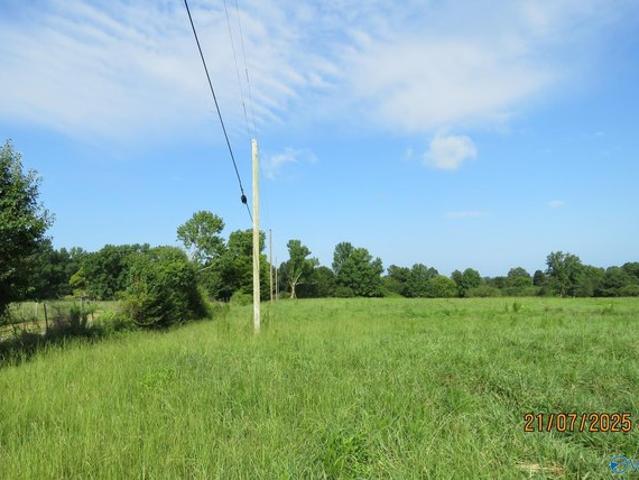 Tract 12 Brown Rd, Boaz, AL 35957