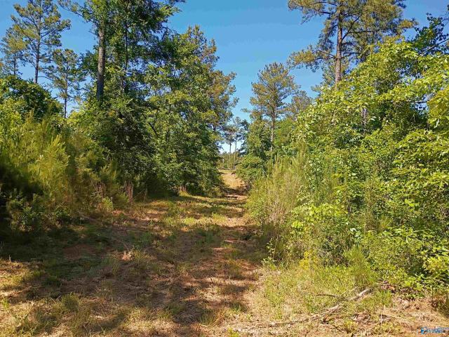 Tract 12C 13 County Road 711 12C 13