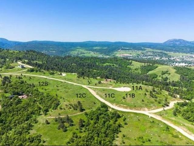 Tract 12C Lookout Vista Rd, Spearfish, SD 57783