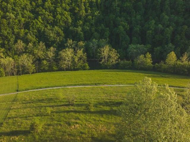 Tract 12R Big Springs Rd, Eidson, TN 37731
