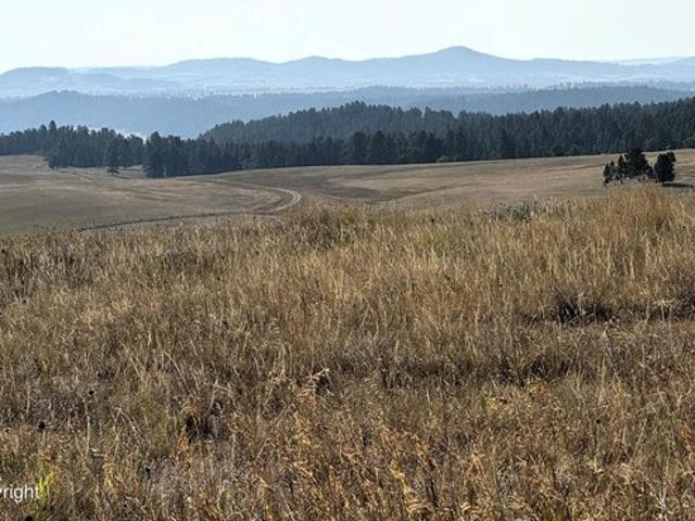 Tract 17 Black Bear Rd, Hulett, WY 82720