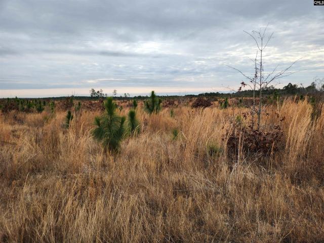 Tract 17 Holland Lane Lot 17