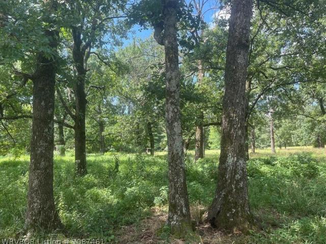 Tract 1415 Bean Patch Loop