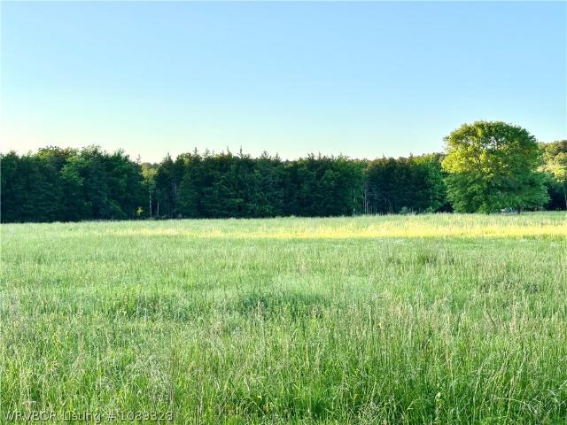 Tract 14 Merle Branch Lane