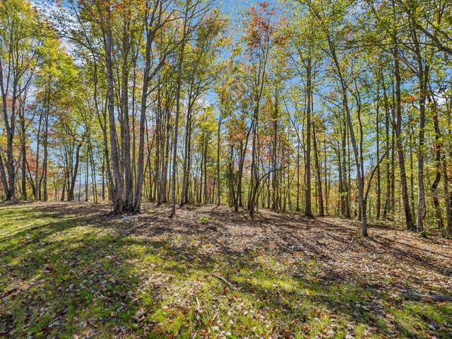 Tract 14 Off of Sheep Ranch Road