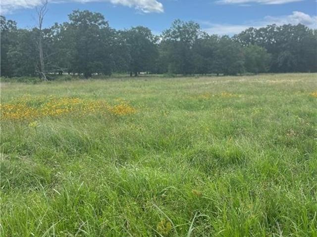 Tract 1617 Bean Patch Loop