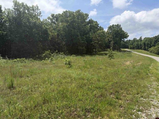 Tract 18 Highway 201 N, Clarkridge, AR 72623