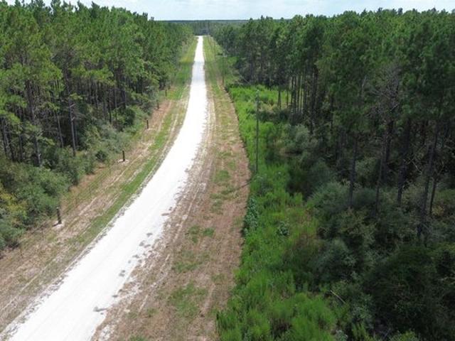 Tract 18 Pr # 8160, Lovelady, TX 75851