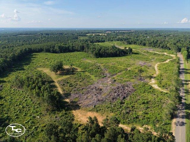 Tract 19 Rd # 1COUNTY, Camden, AL 36726