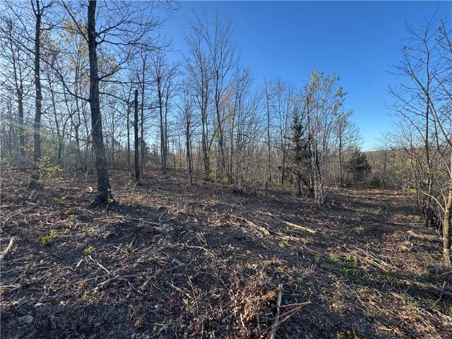 Tract 1 NC 8374 Road
