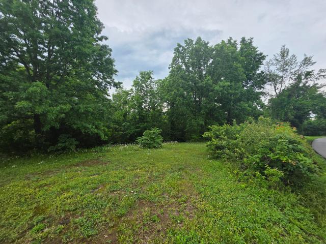 Tract 1 Old Dixville Road