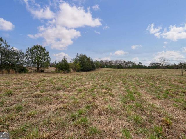 TRACT 1 A High Shoals Road