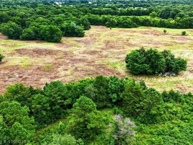 Tract 1 Baldknob Lane