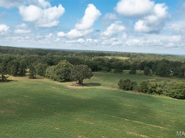 Tract 1 Bcr # 810, Glenallen, MO 63645