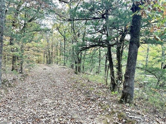 Tract 1 Benson Ln, Heavener, OK 74937